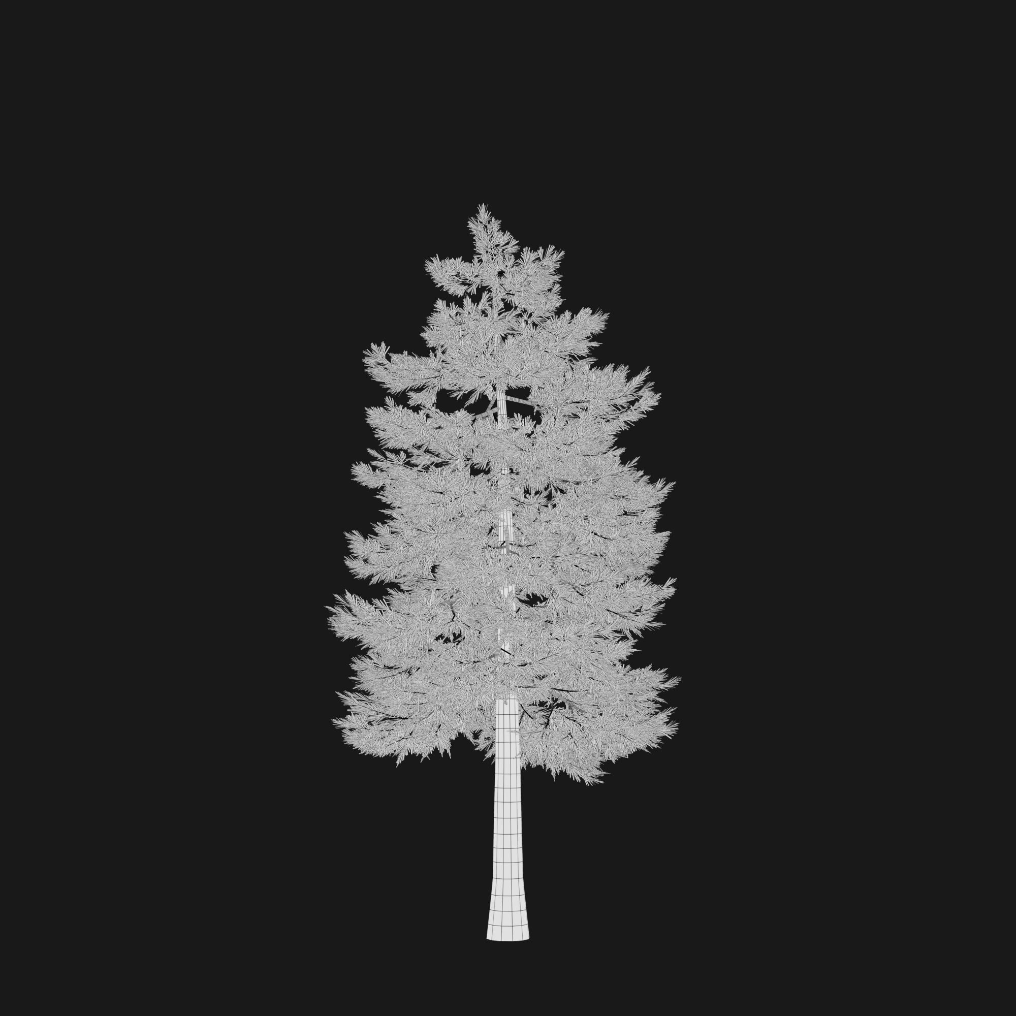 Pine Tree Pack of 3 3D model | CGTrader