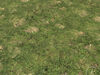 Grass texture pack vol2 Texture Texture | CGTrader