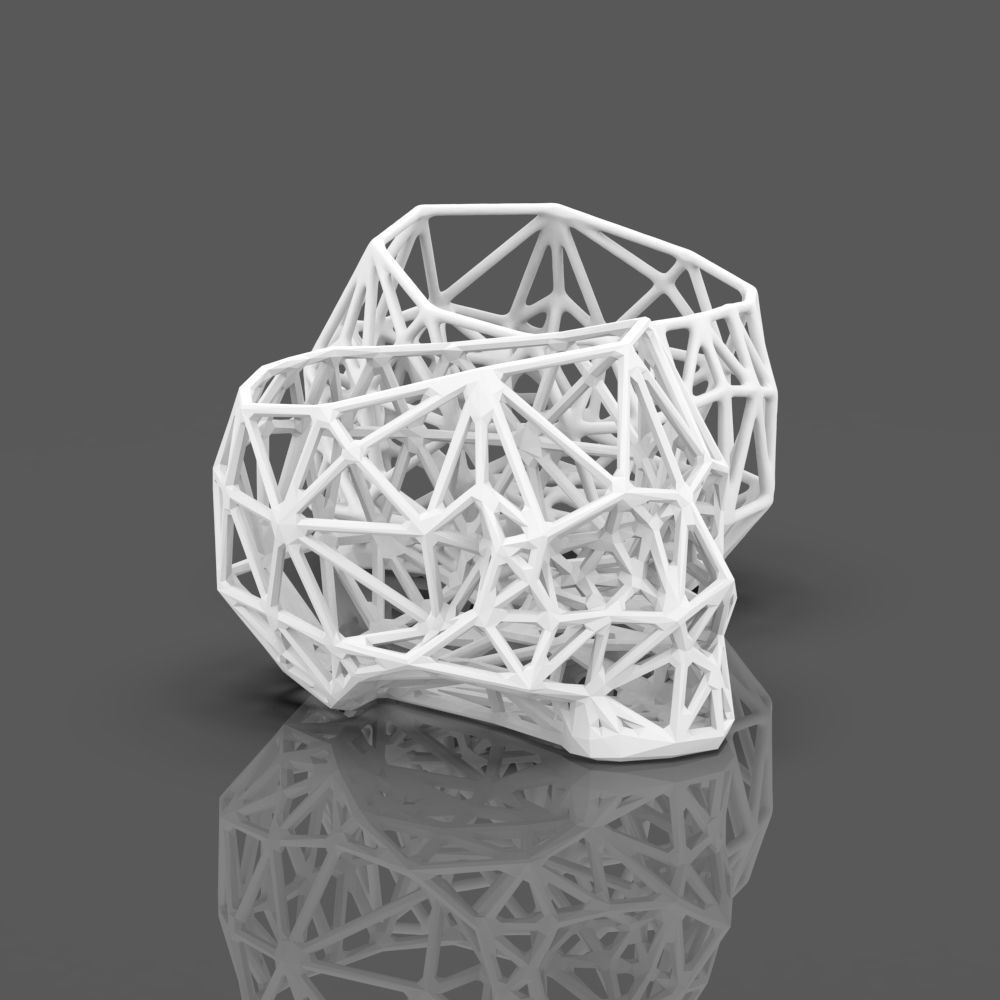 Skull mesh 3D model 3D printable | CGTrader