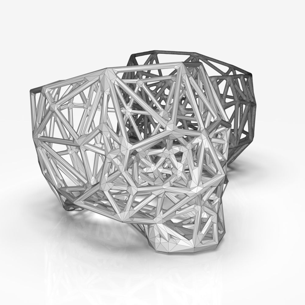 Skull mesh 3D model 3D printable | CGTrader