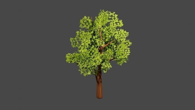 Maple tree 3D model | CGTrader