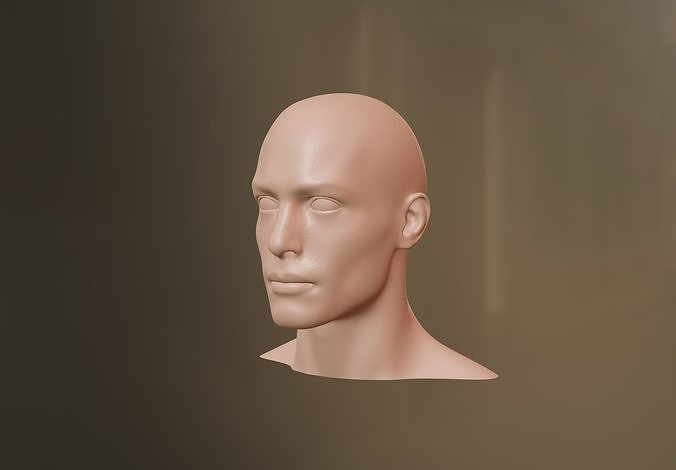 Male Head 3D model 3D model | CGTrader
