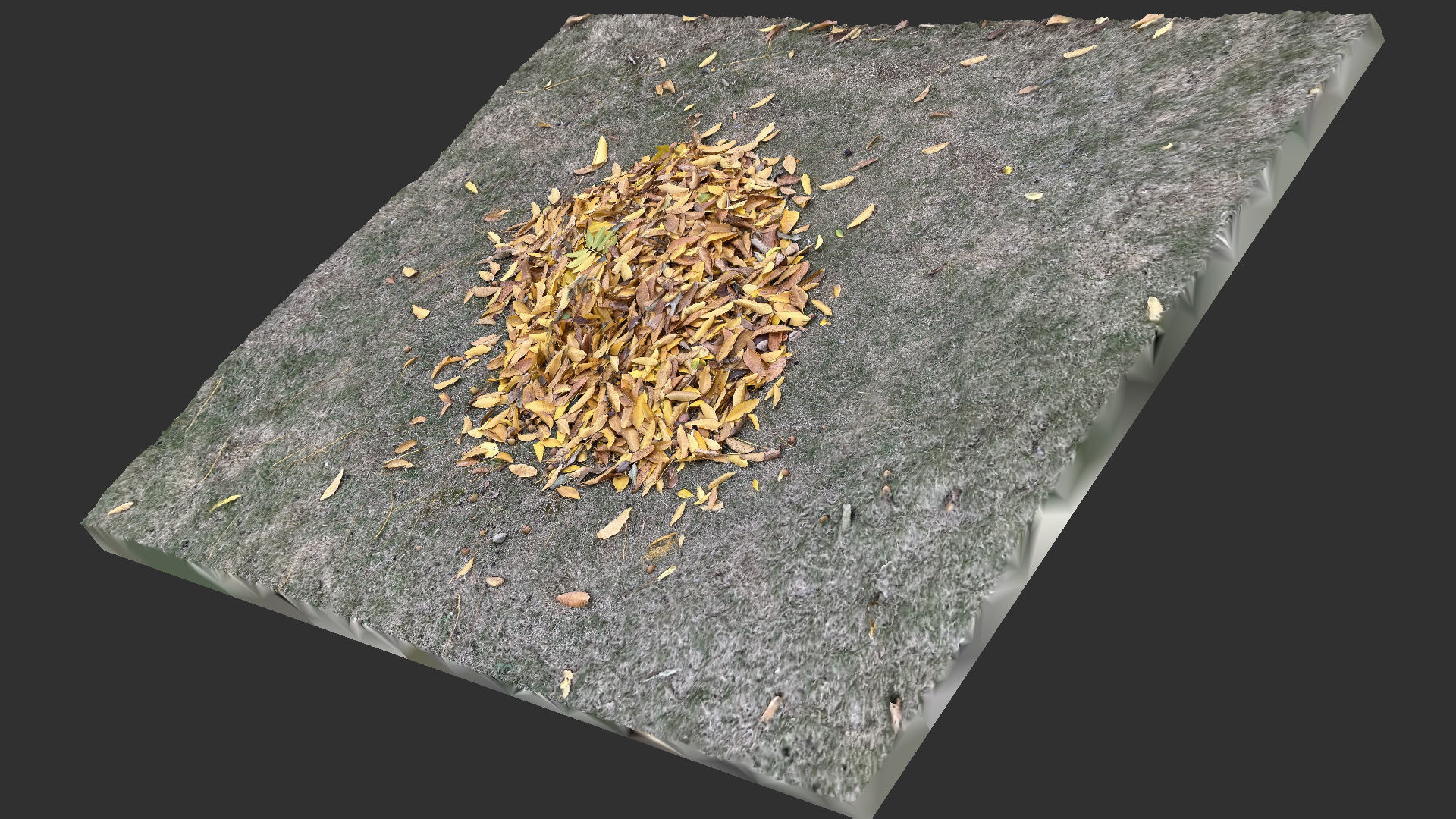 Leaves on the ground 3d scan 3D model | CGTrader