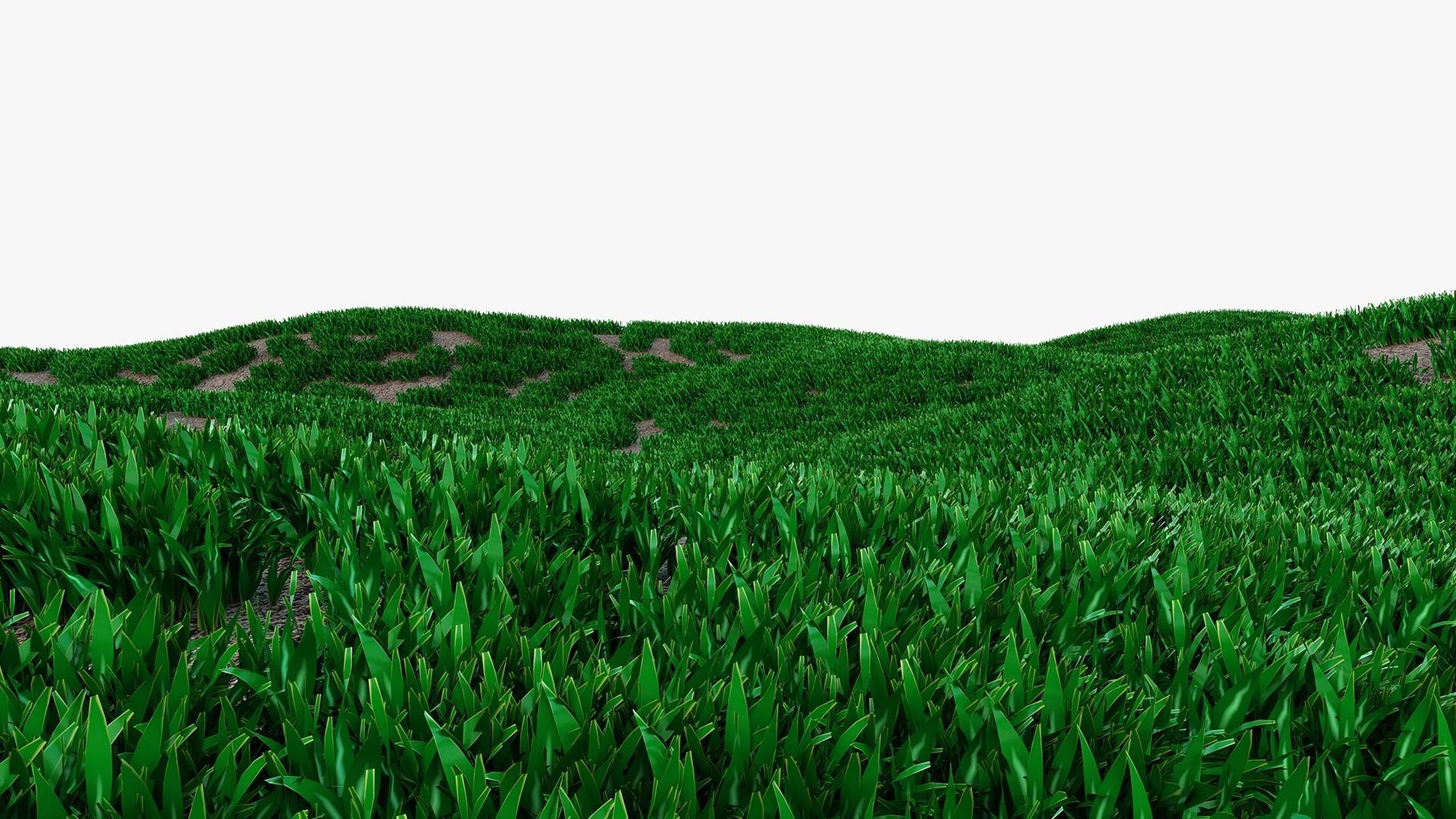Lawn Grass Realistic 3D 3D model | CGTrader