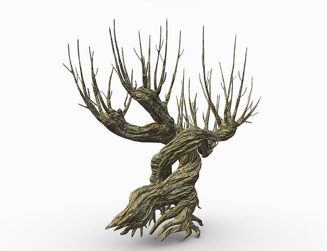 Whomping Willow 3D model | CGTrader