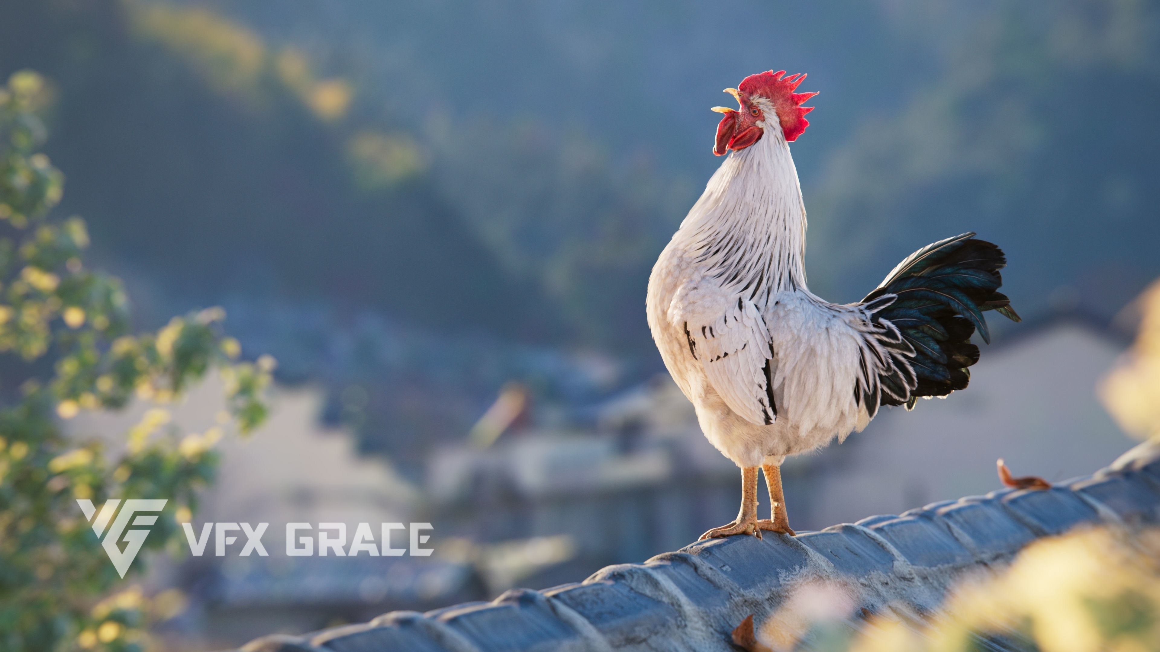 White Chicken Animated VFX Grace 3D model animated rigged | CGTrader