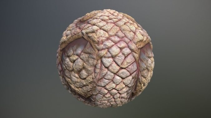 Material Skin Monster 49 Seamless PBR Texture Texture | CGTrader