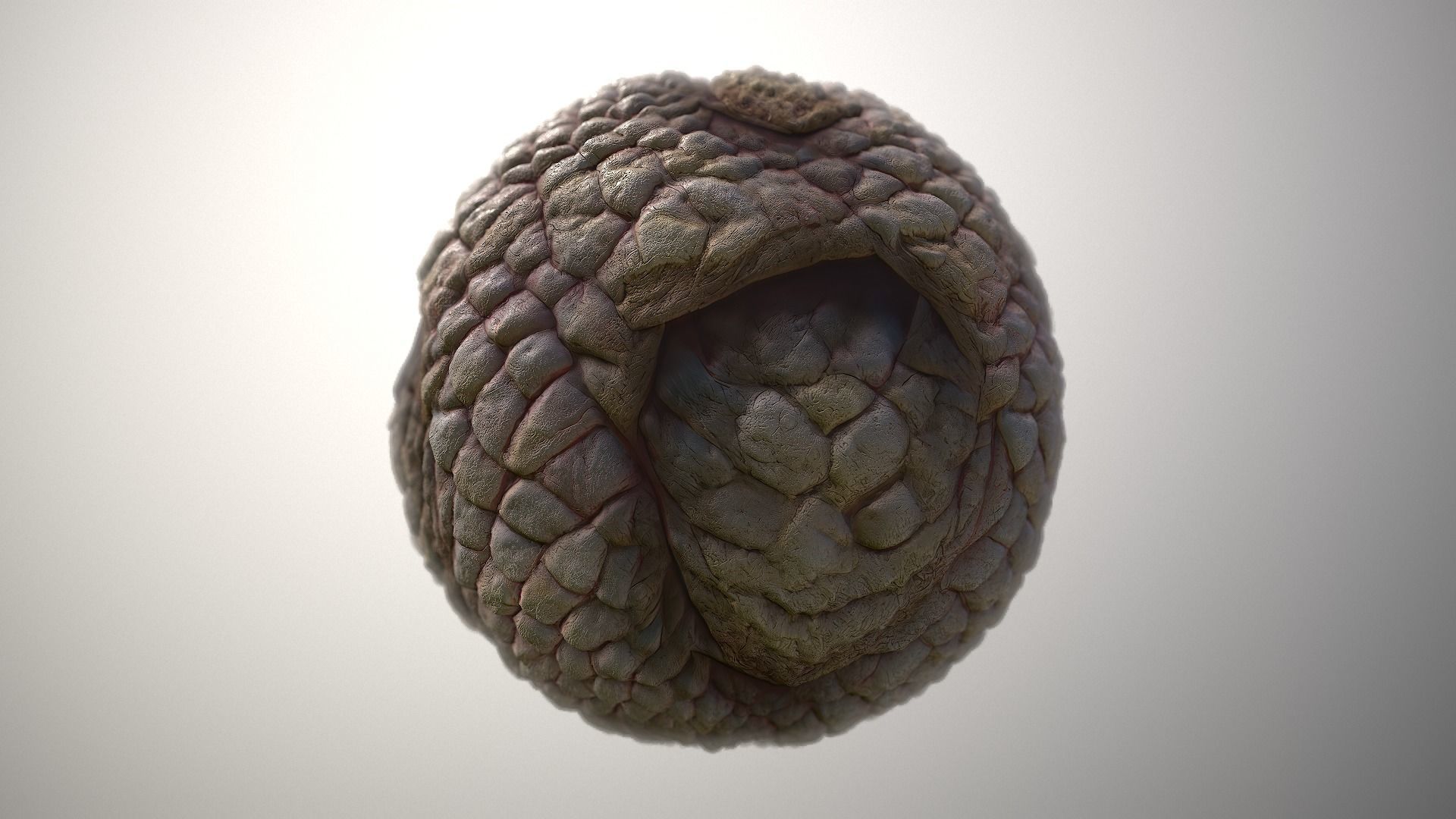 Material Skin Monster 49 Seamless PBR Texture Texture | CGTrader