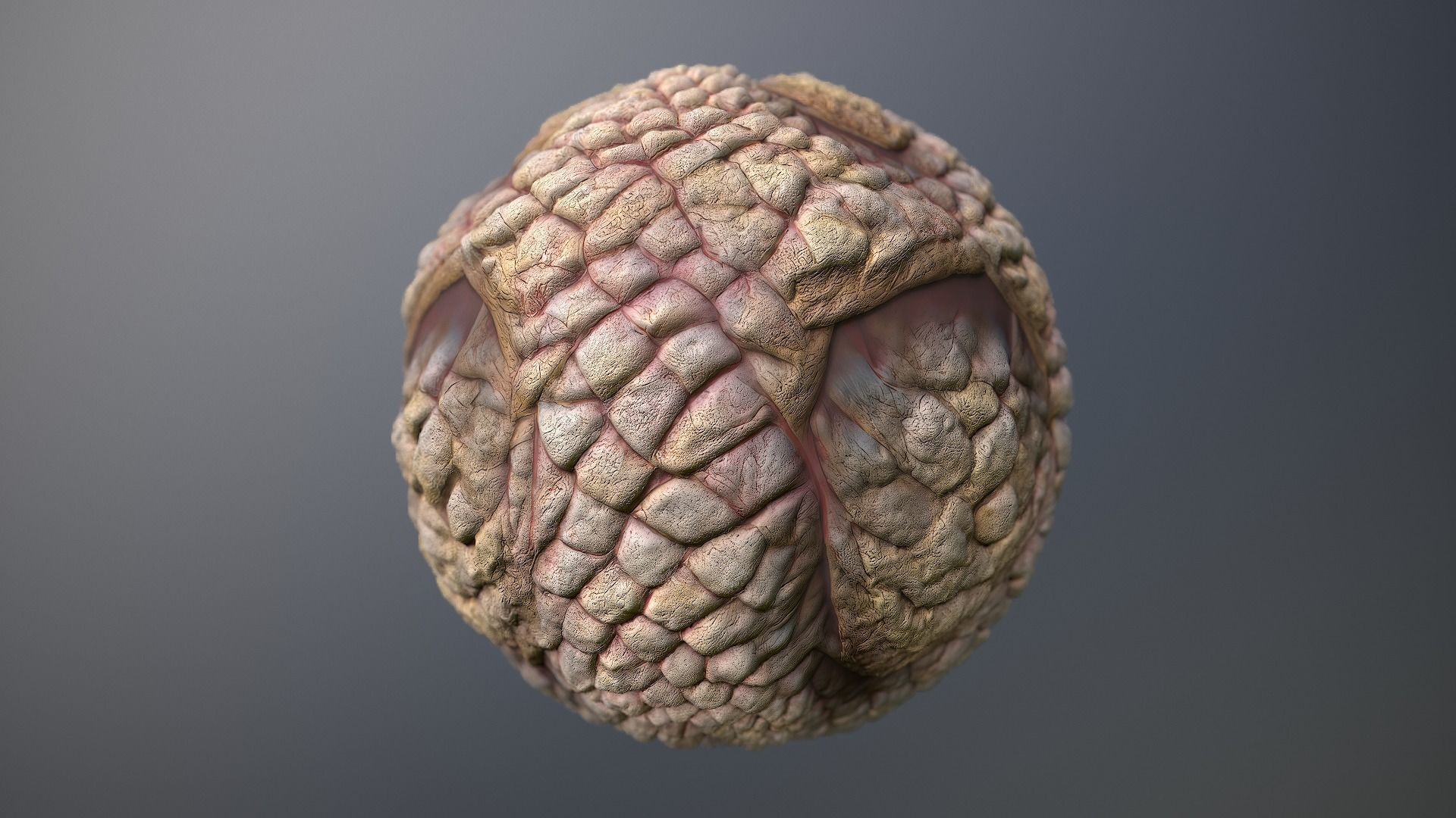 Material Skin Monster 49 Seamless PBR Texture Texture | CGTrader
