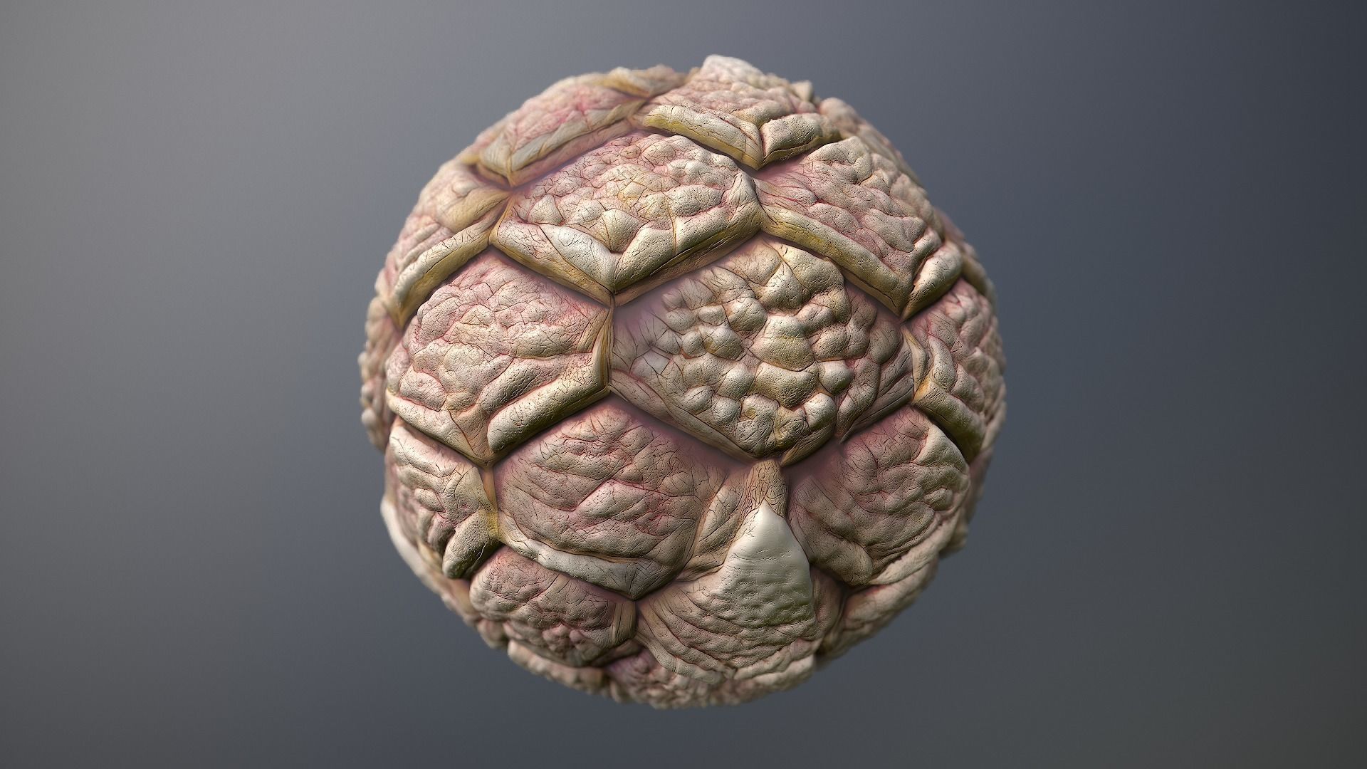 Material Skin Monster 42 Seamless PBR Texture Texture | CGTrader
