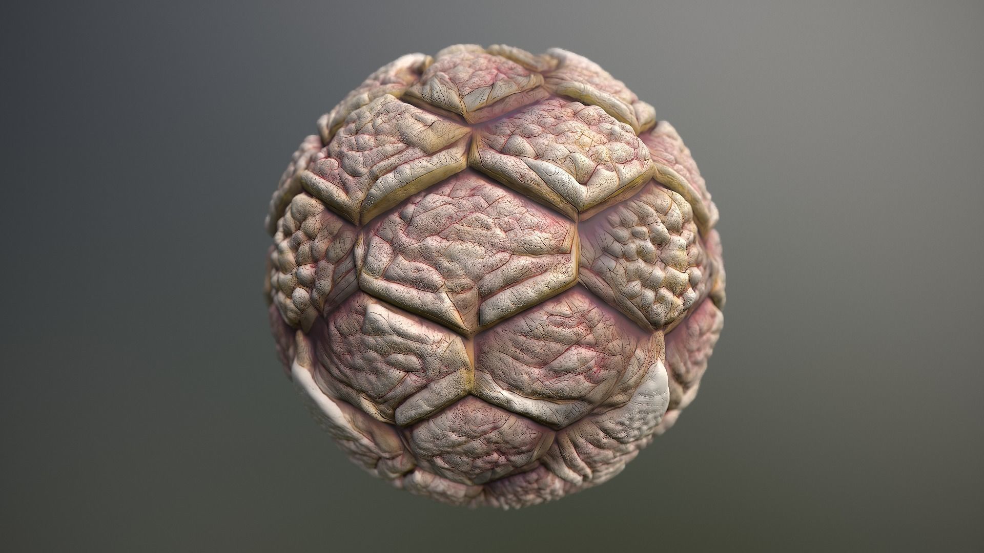 Material Skin Monster 42 Seamless PBR Texture Texture | CGTrader