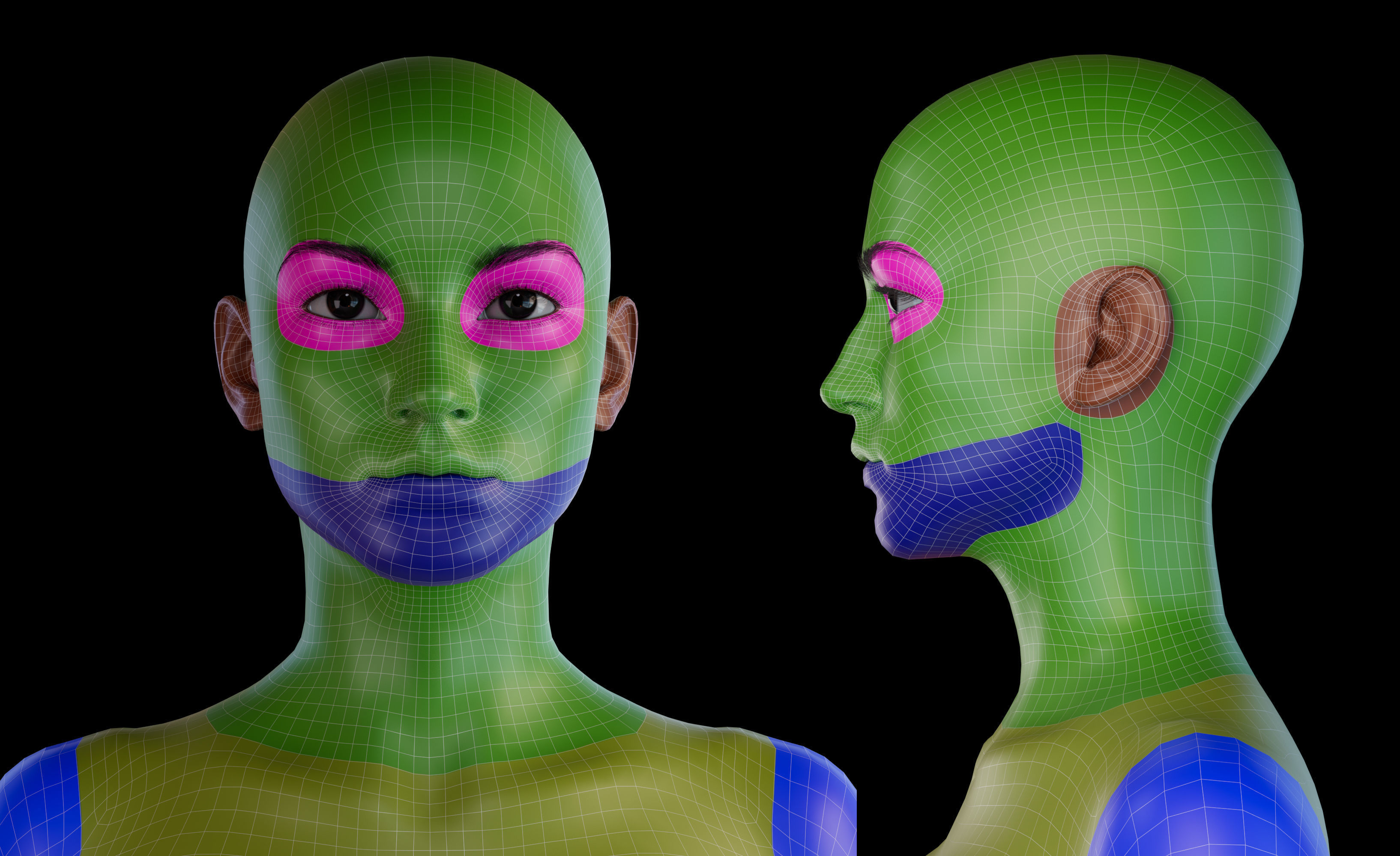 Female Basemesh for Production HIGH POLY 3D model | CGTrader