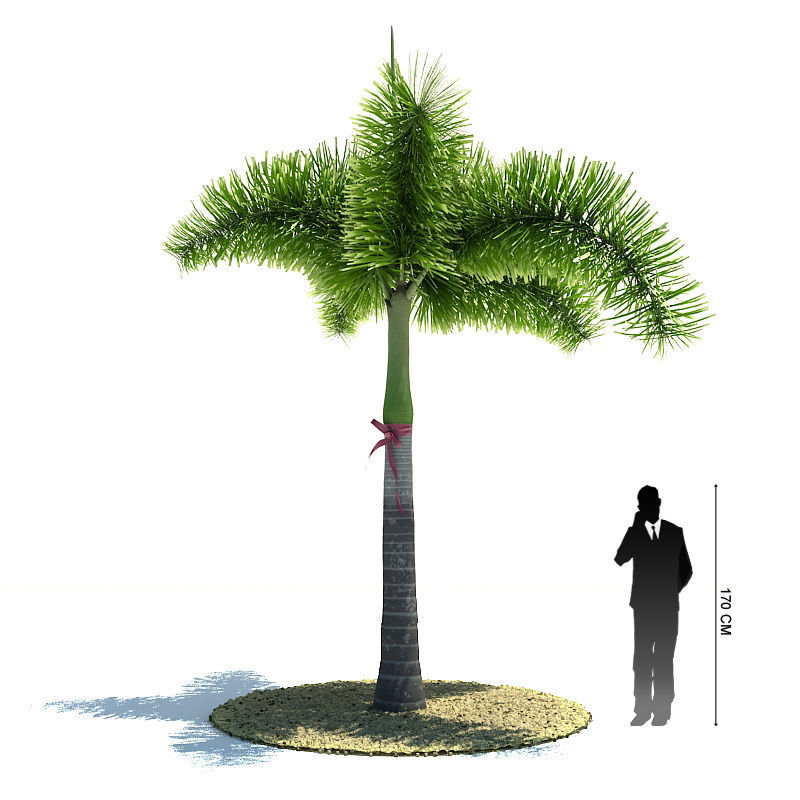 Archmodels vol 85 - Tropical Trees Collection 3D model | CGTrader