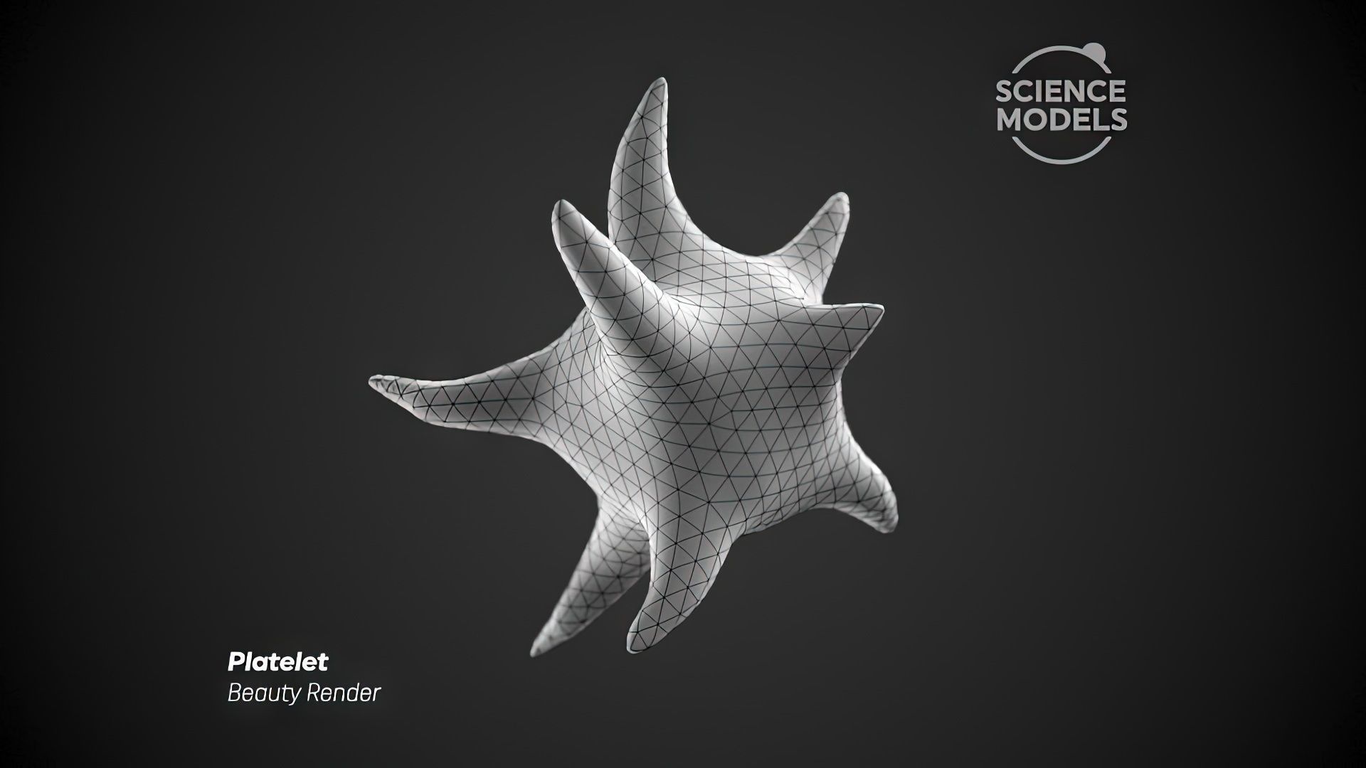 Platelet Cell 3D model | CGTrader