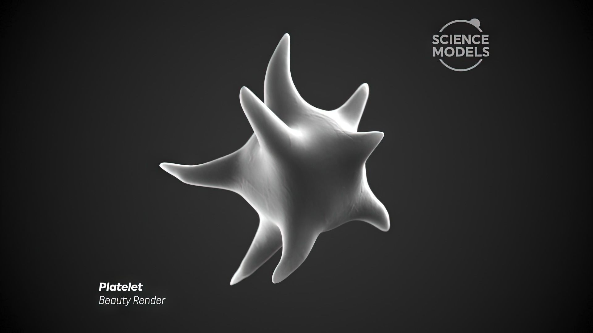 Platelet Cell 3D model | CGTrader