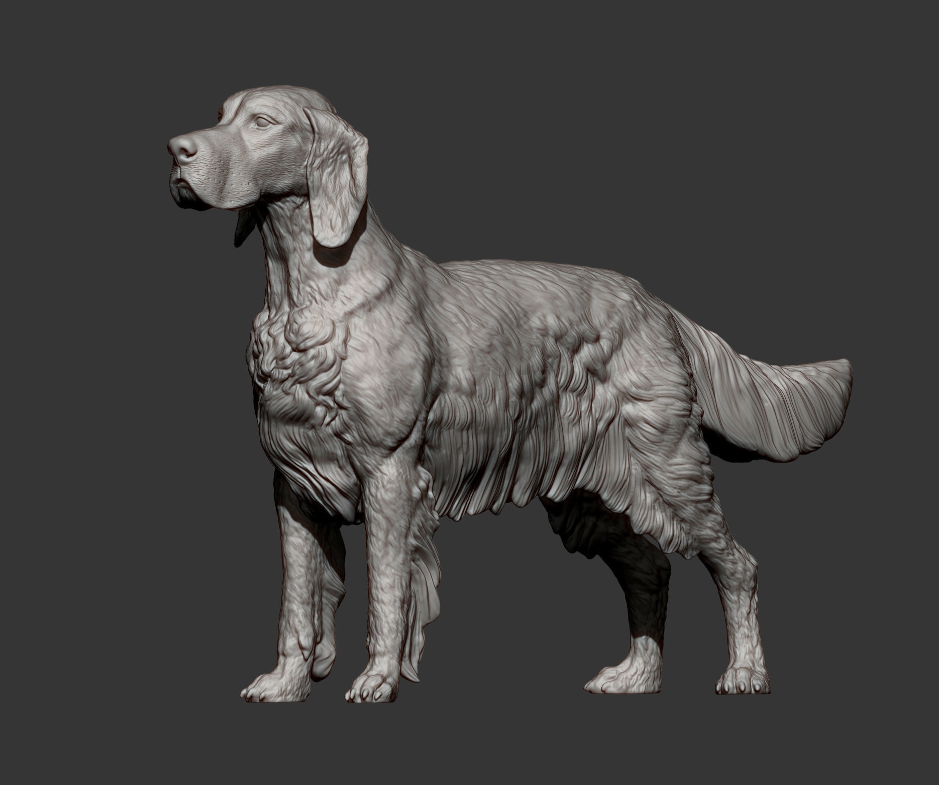 English Setter 3D model 3D printable | CGTrader