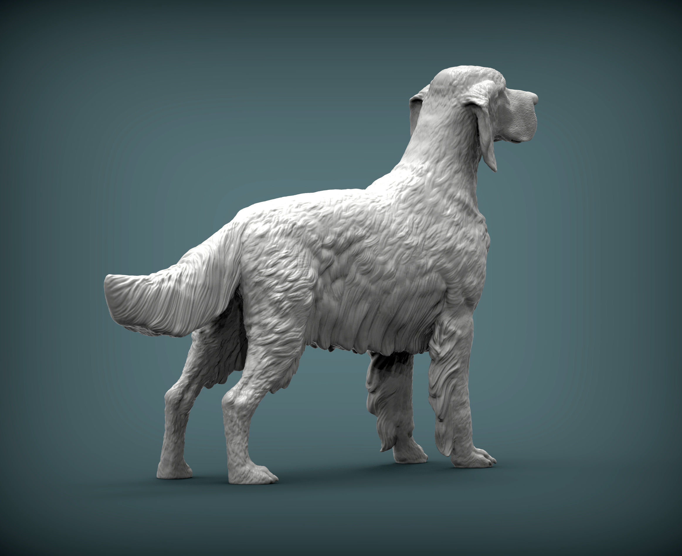 English Setter 3D model 3D printable | CGTrader
