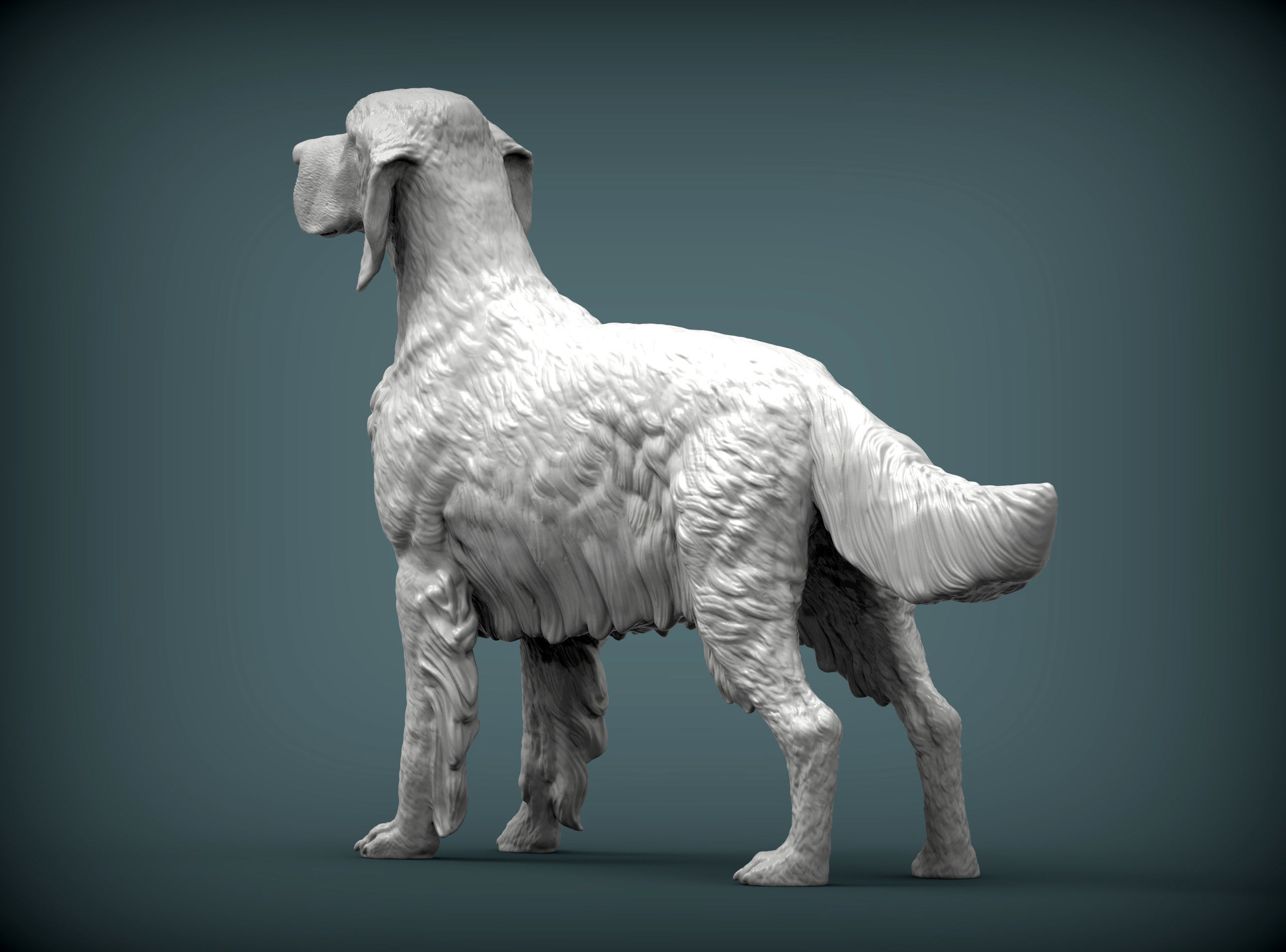 English Setter 3D model 3D printable | CGTrader