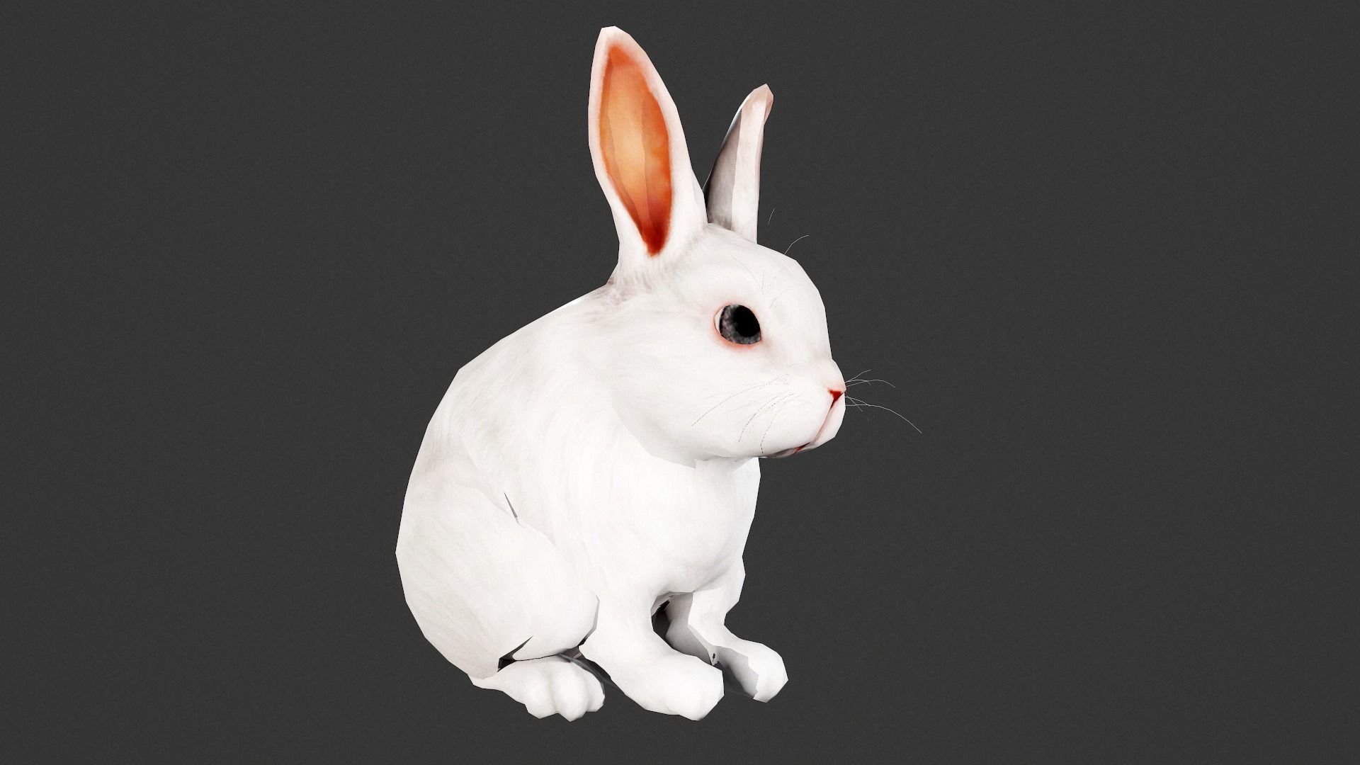 3D model animated white rabbit VR / AR / low-poly | CGTrader