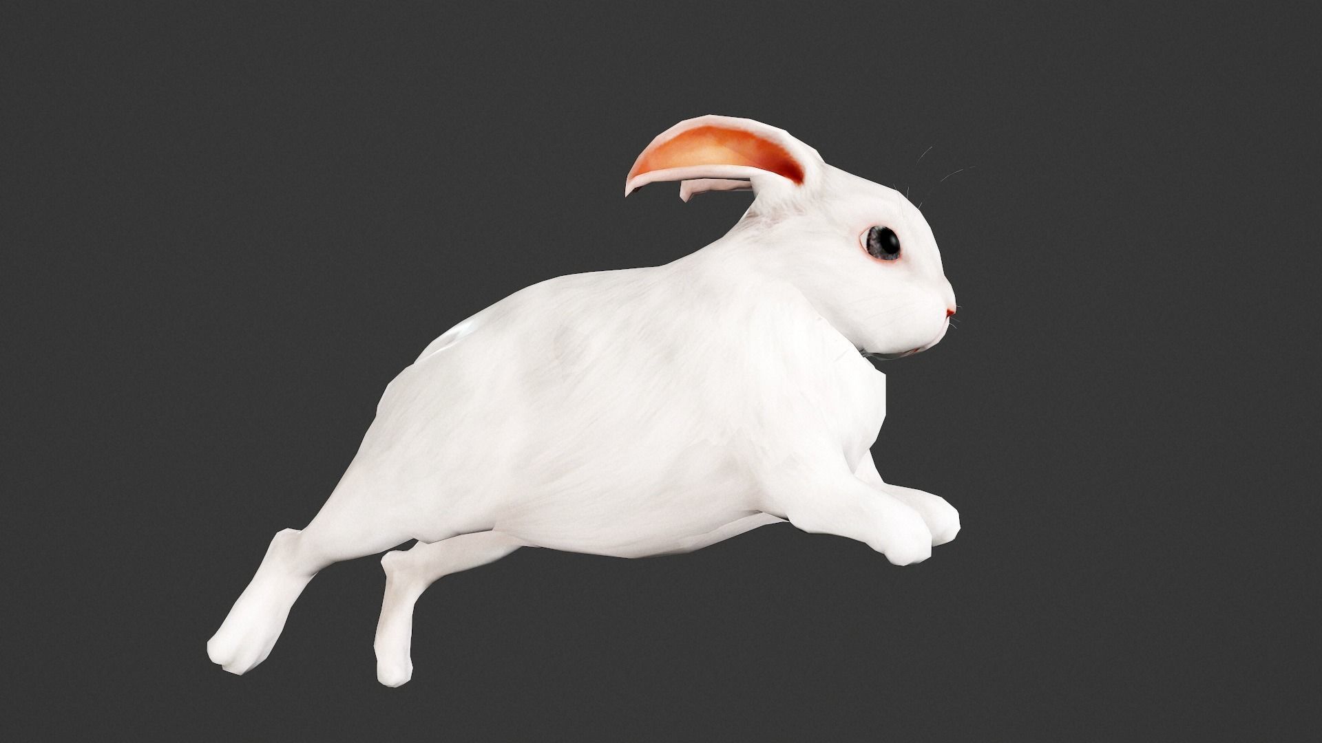 3D model animated white rabbit VR / AR / low-poly | CGTrader