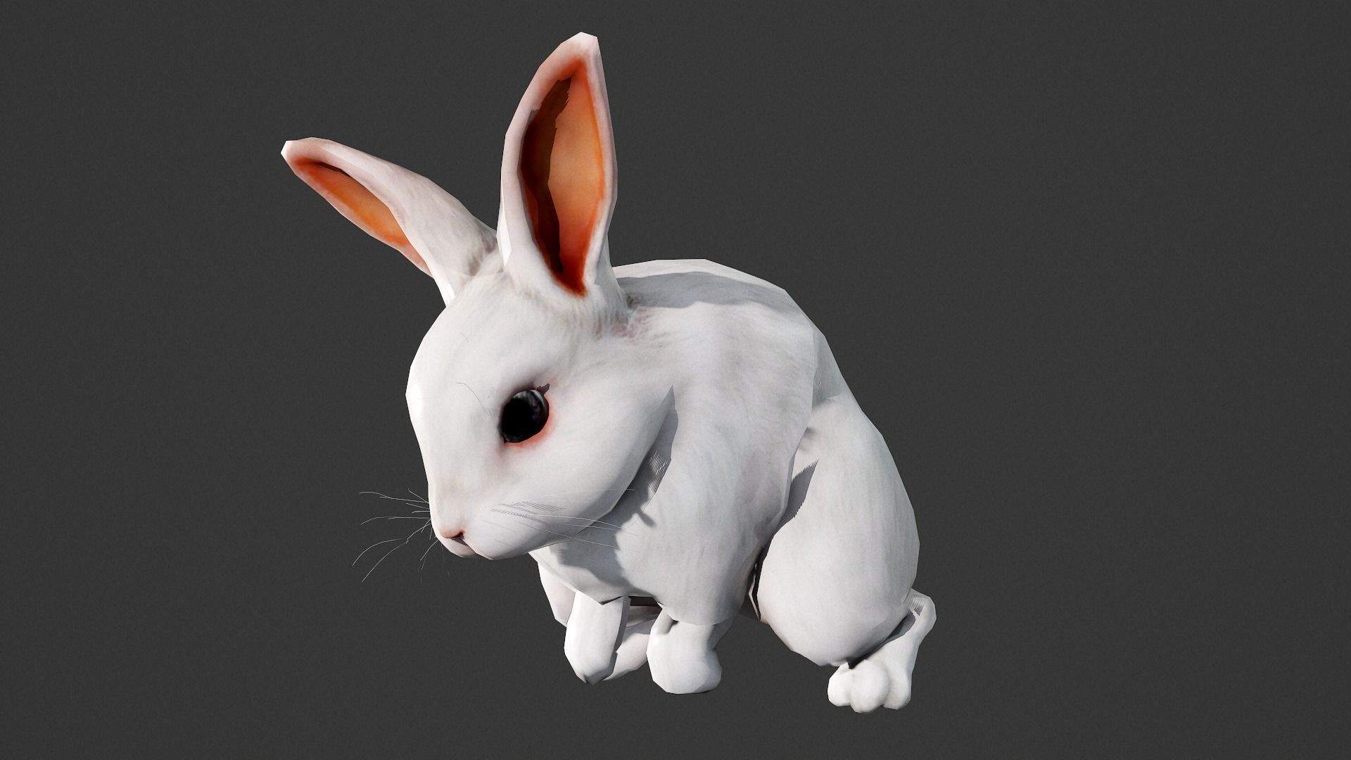 3D model animated white rabbit VR / AR / low-poly | CGTrader