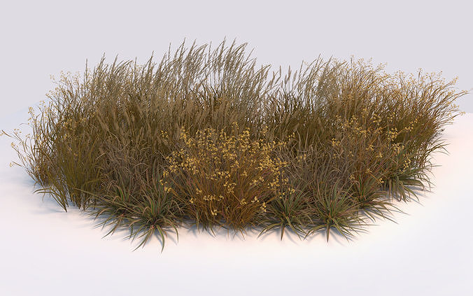 Grass 3D model | CGTrader