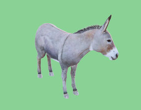 Donkey 3D Models | CGTrader