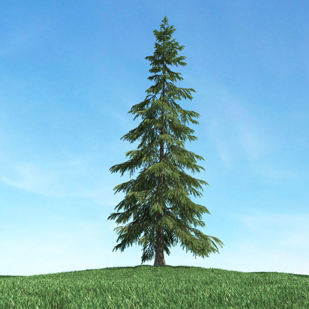 Archmodels vol 117 - Realistic Tree Collection 3D model | CGTrader