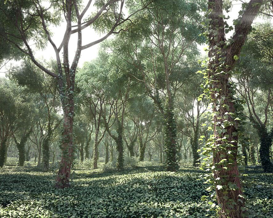 Archmodels vol 117 - Realistic Tree Collection 3D model | CGTrader