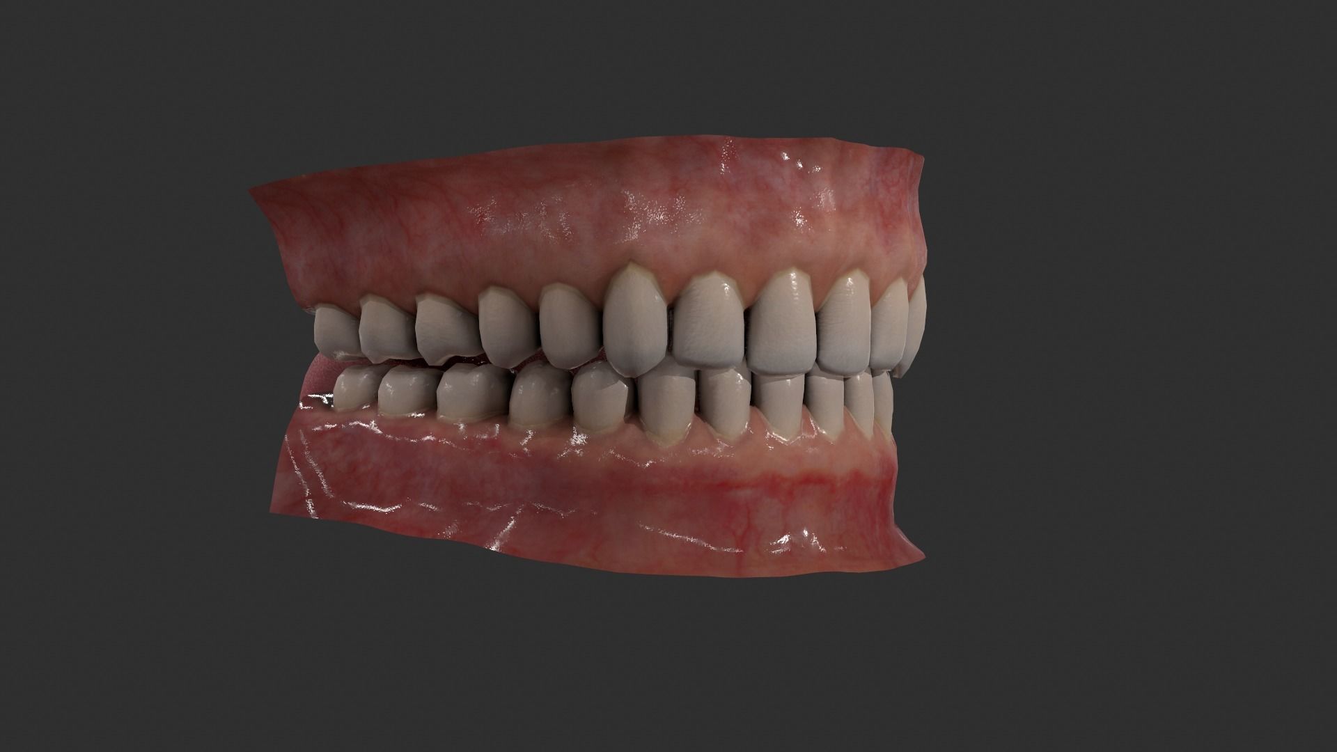 3D model Realistic Human Mouth VR / AR / low-poly | CGTrader