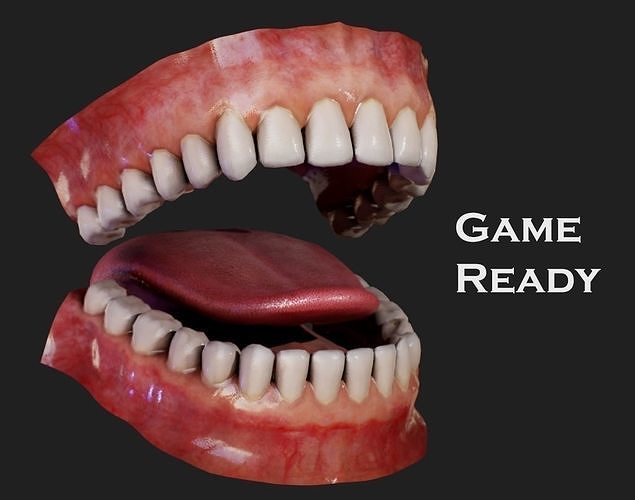 3D model Realistic Human Mouth VR / AR / low-poly | CGTrader