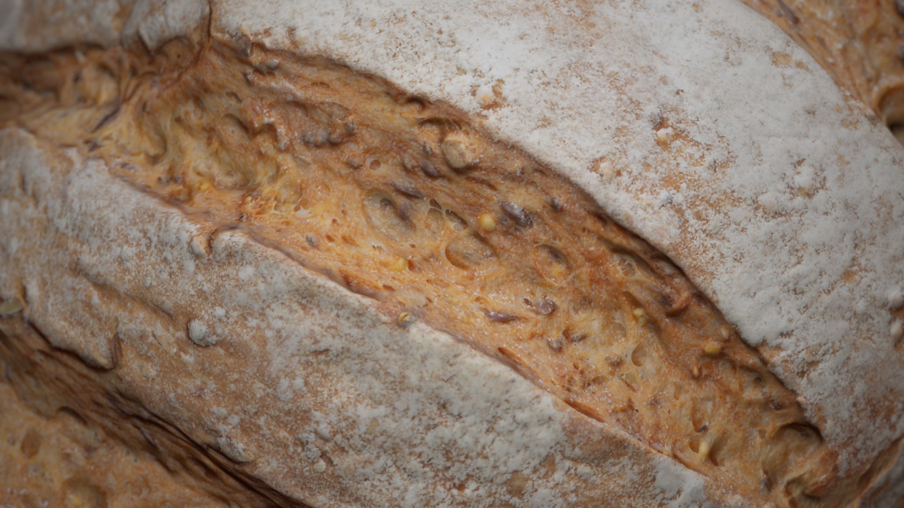 3D model Crunchy Millet Bread VR / AR / low-poly | CGTrader