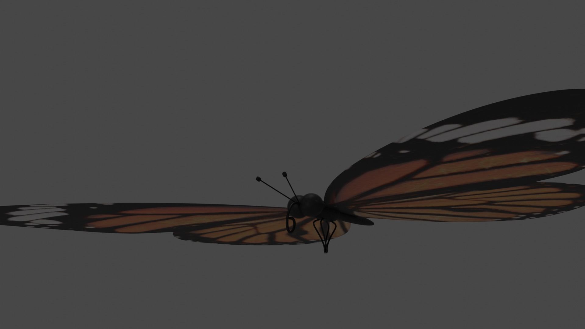 BUTTER FLY MODELING 3D model | CGTrader