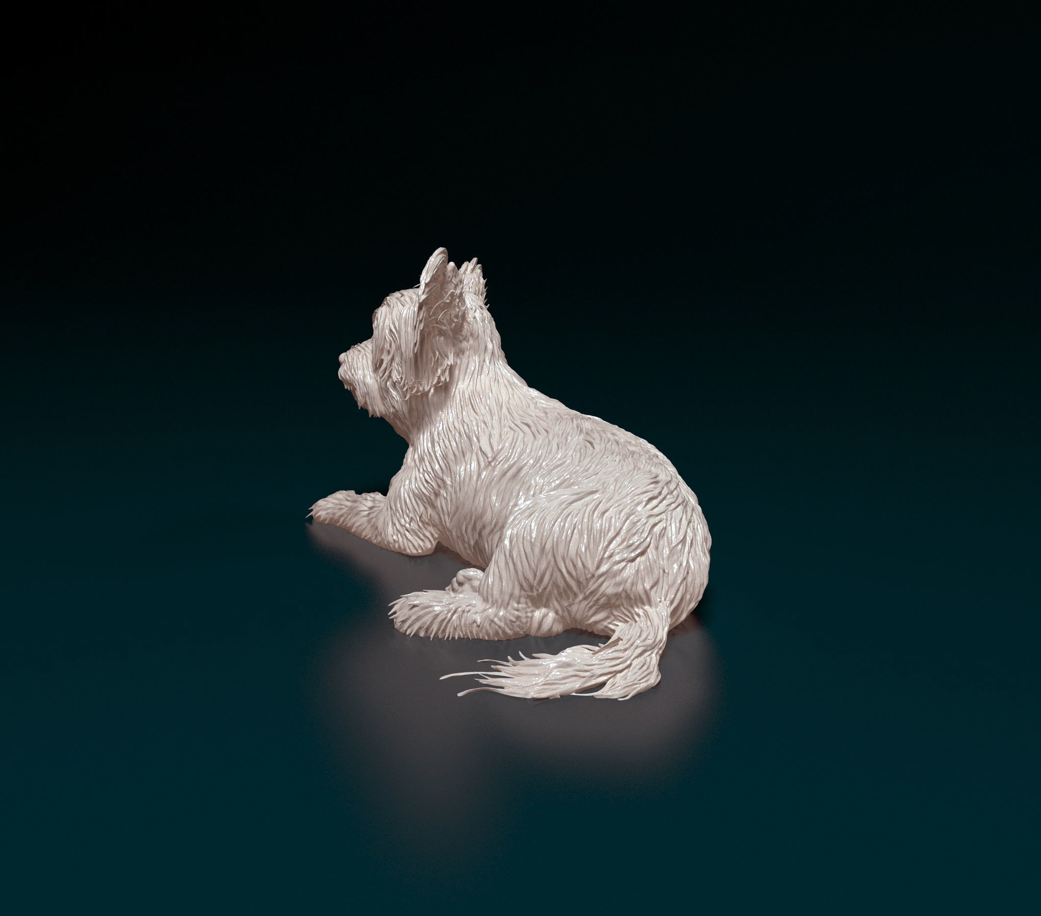Yorkshire terrier 3D model 3D printable | CGTrader