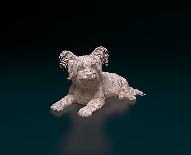 Yorkshire terrier 3D model 3D printable | CGTrader
