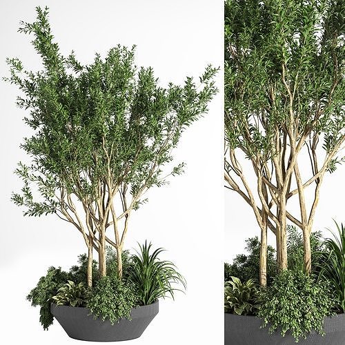 Outdoor Plants tree 08 3D model | CGTrader