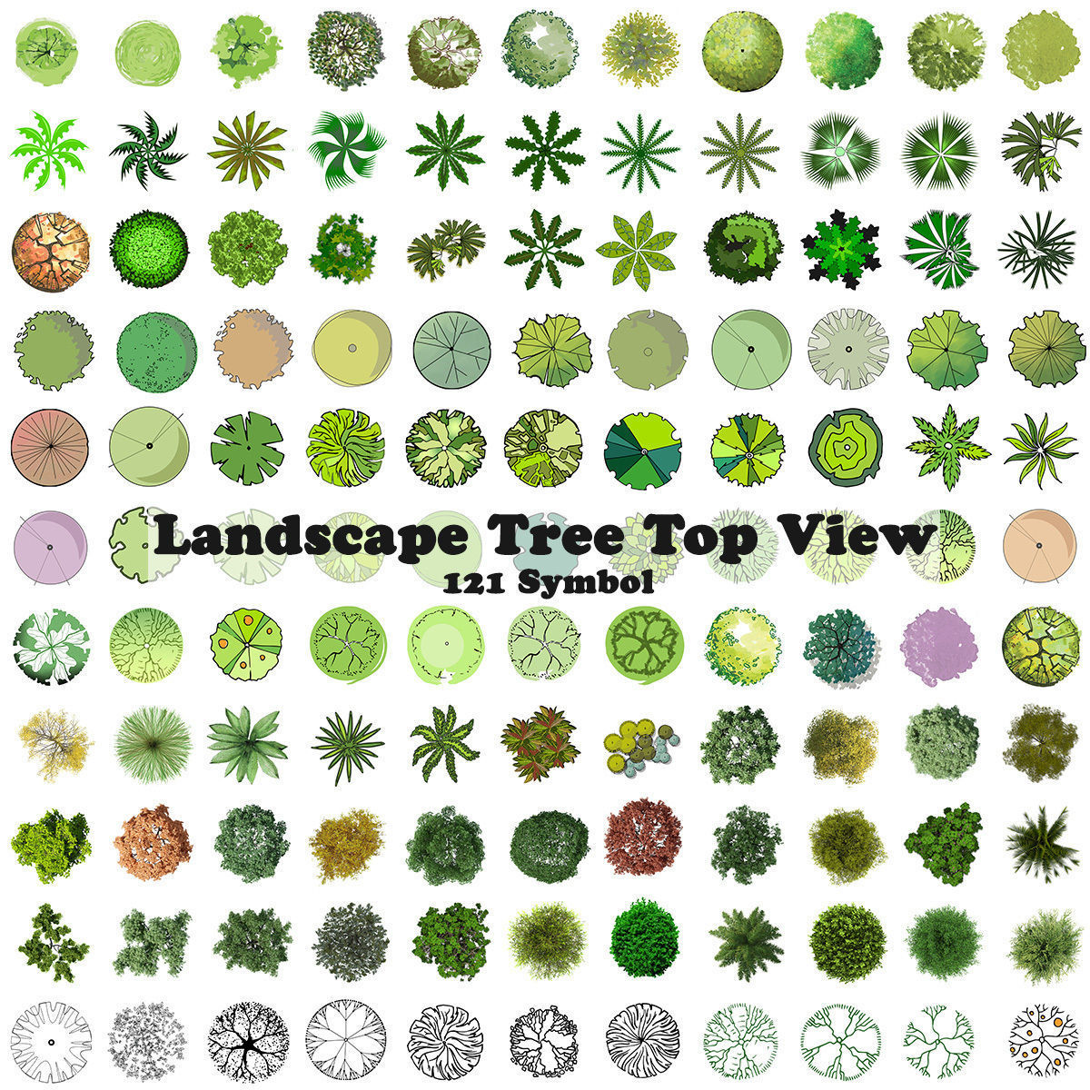 Landscape Tree Plan View 121 Symbol Texture | CGTrader