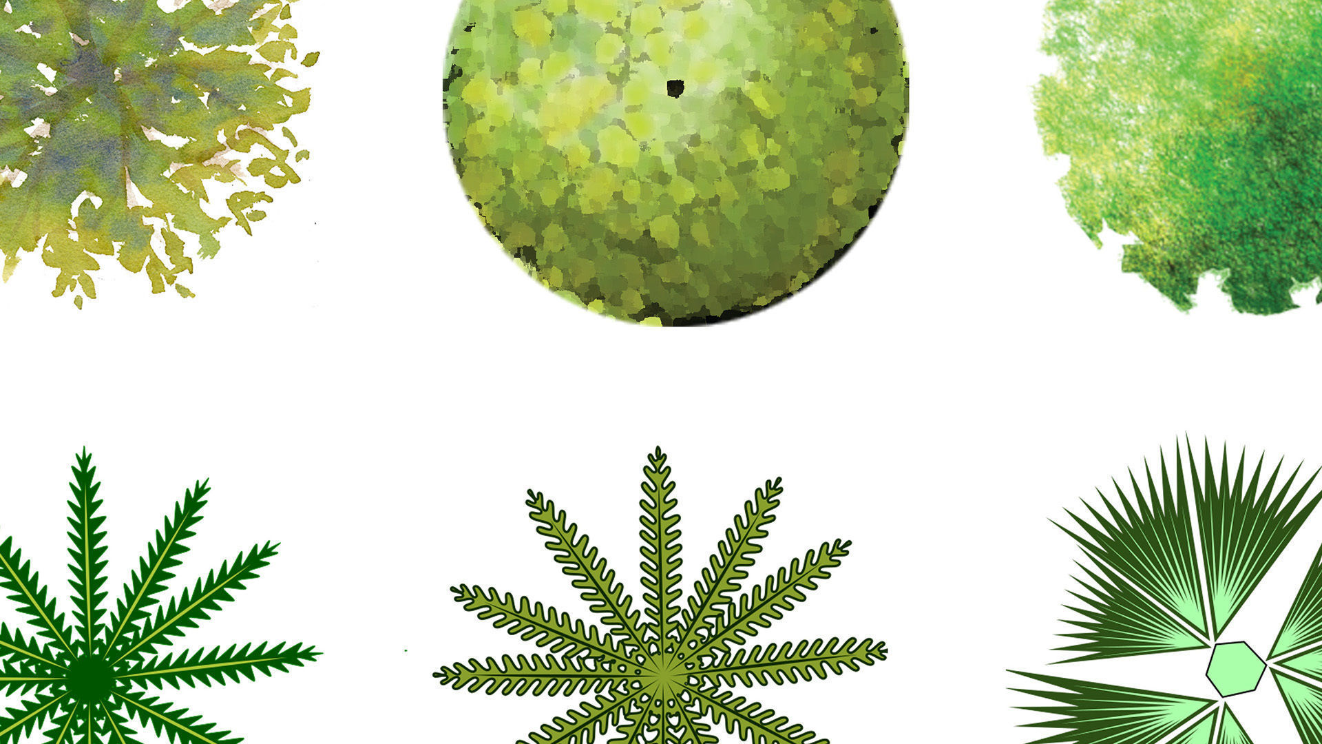 Landscape Tree Plan View 121 Symbol Texture | CGTrader