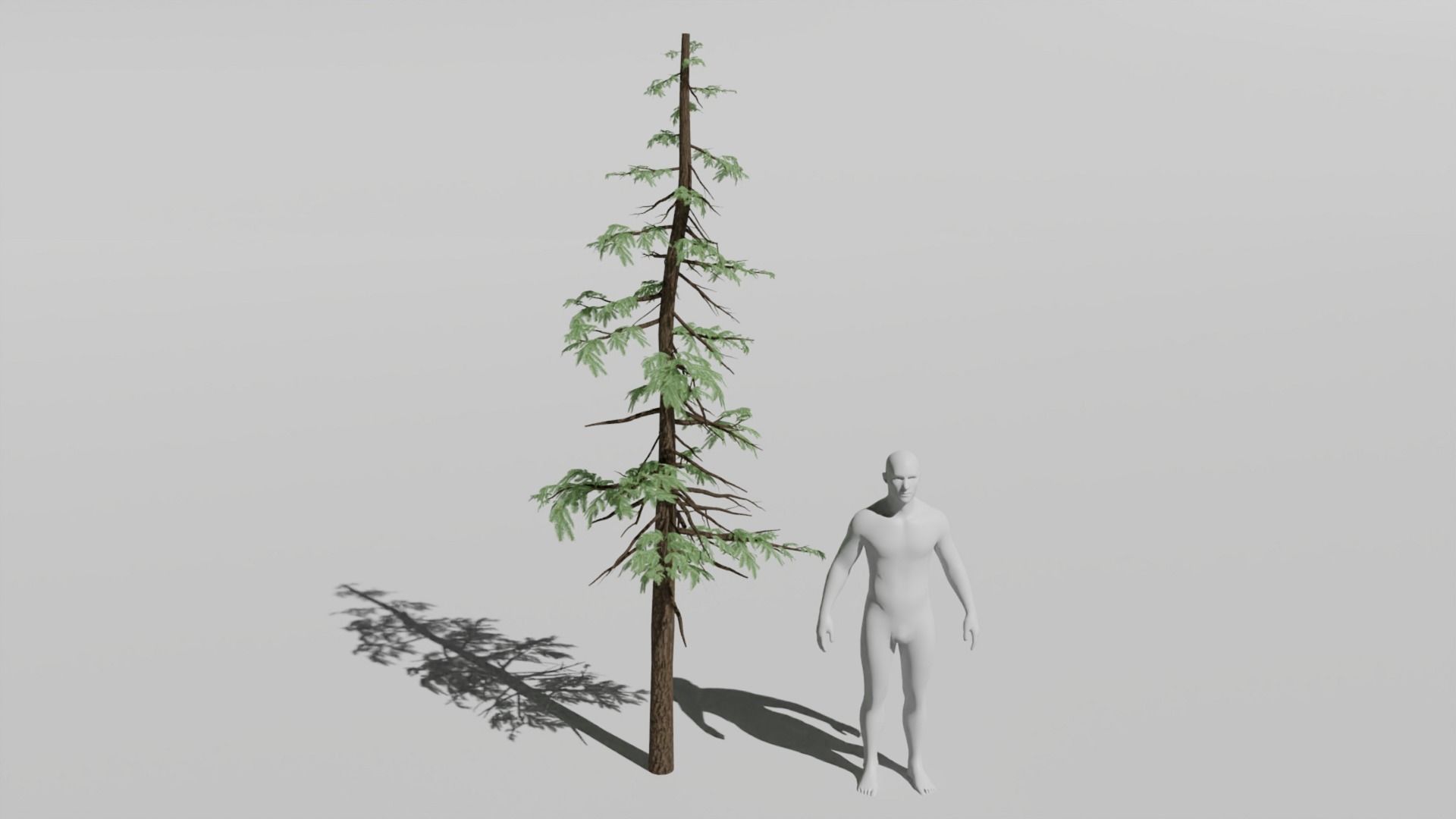 3D model Pine Trees - 3D Pack High Quality Low-Poly Models VR / AR / low-poly | CGTrader