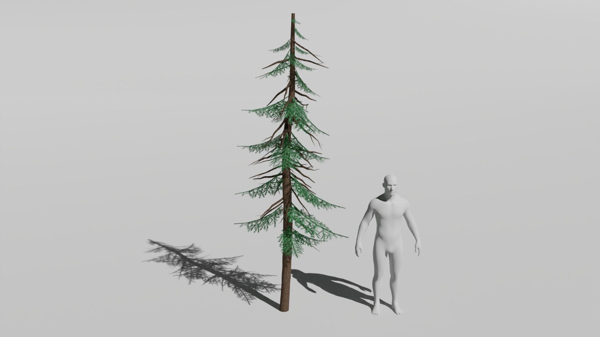 3D model Pine Trees - 3D Pack High Quality Low-Poly Models VR / AR ...