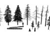 3D model Pine Trees - 3D Pack High Quality Low-Poly Models VR / AR ...