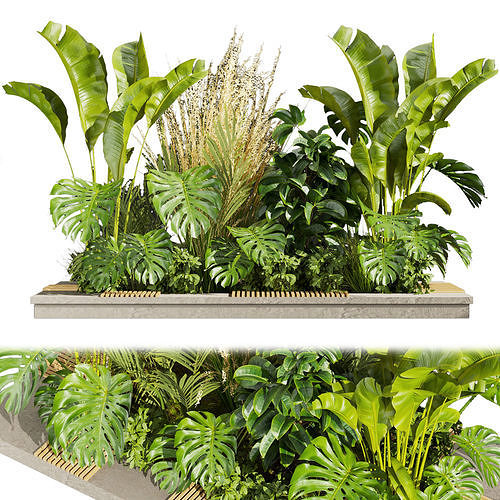 Collection plant vol 428 - outdoor - garden - leaf 3D model | CGTrader