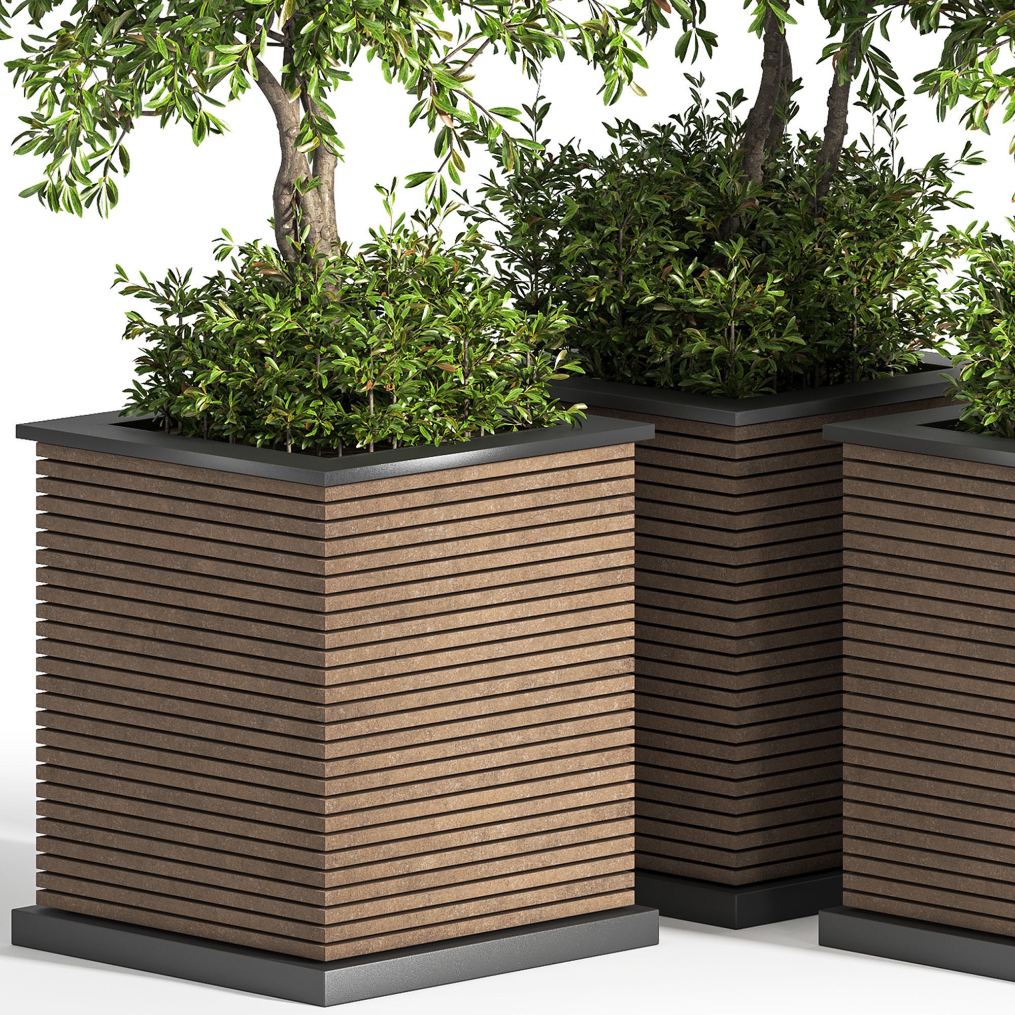 Outdoor Plants tree 10 3D model | CGTrader