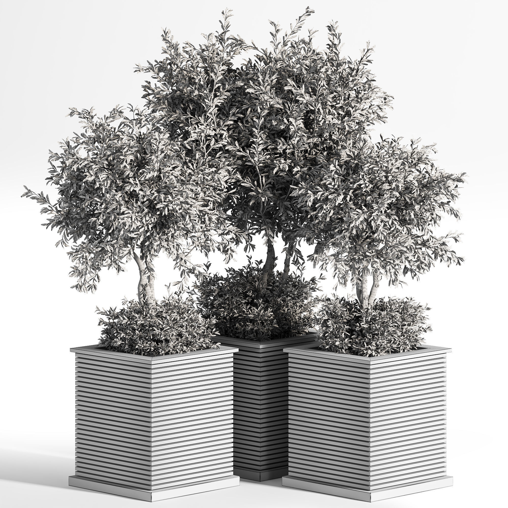 Outdoor Plants tree 10 3D model | CGTrader