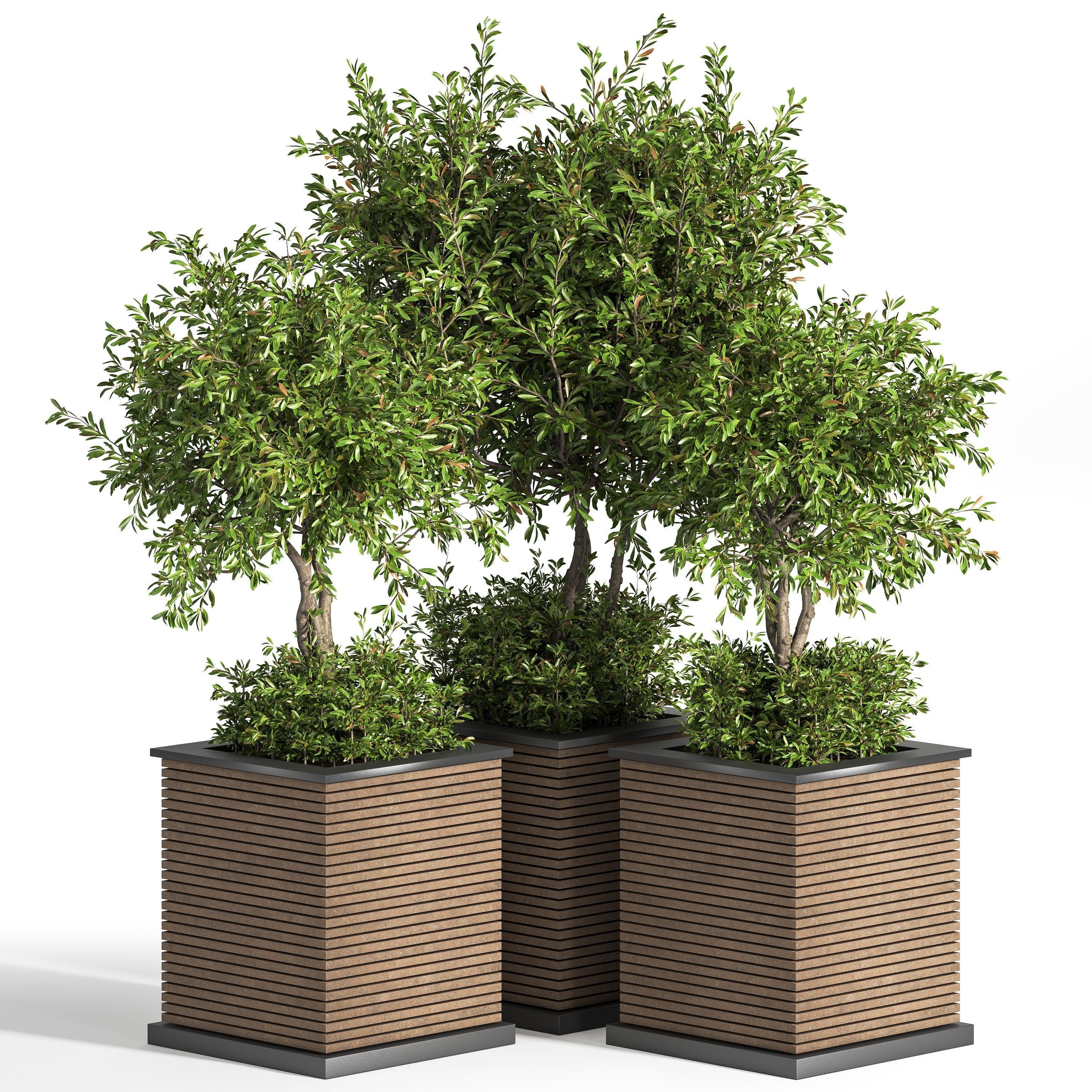 Outdoor Plants tree 10 3D model | CGTrader
