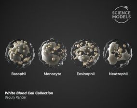 Whitecell 3D Models | CGTrader