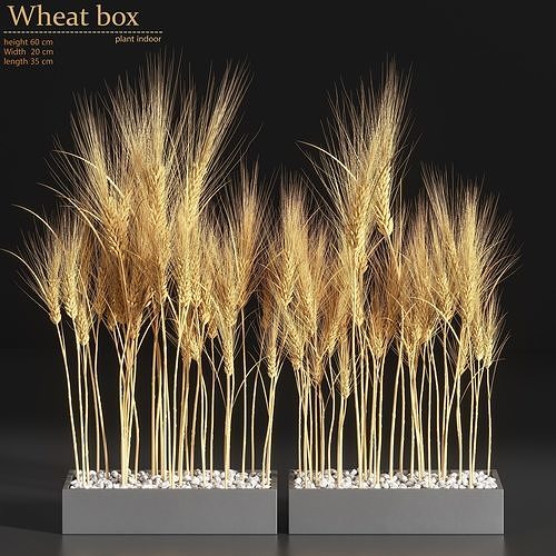 Wheat box 3D model | CGTrader