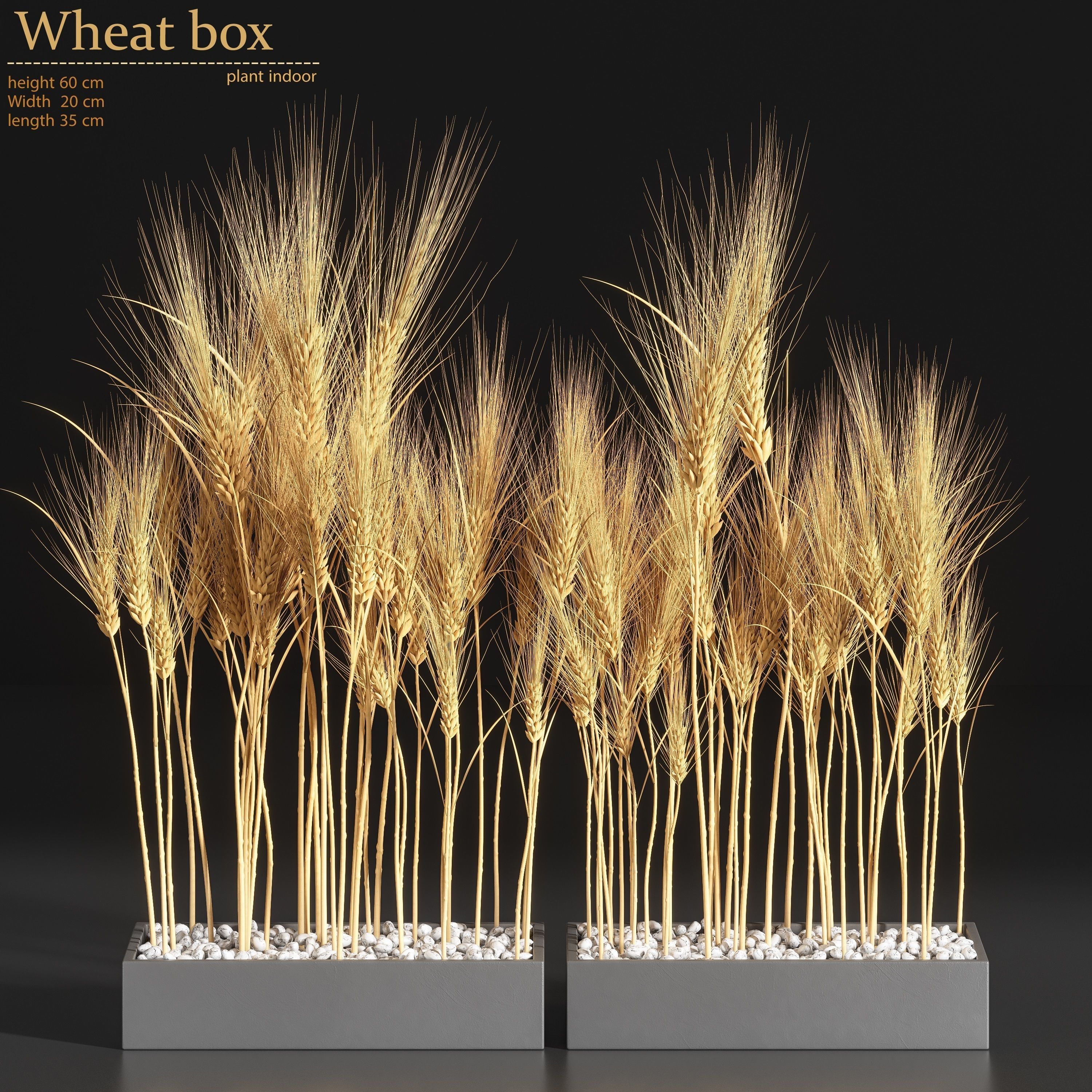 Wheat box 3D model | CGTrader