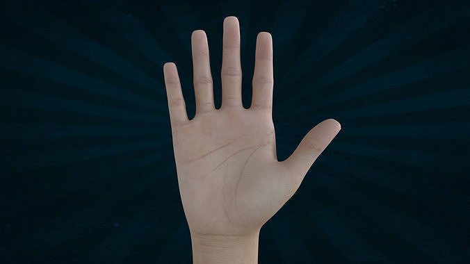 HAND-044 Counting Animation 3D model animated rigged | CGTrader
