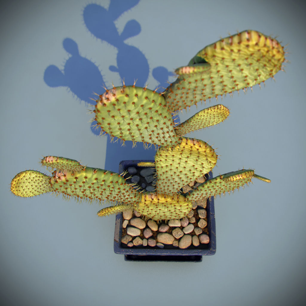 Cactus In Pot 3D model | CGTrader